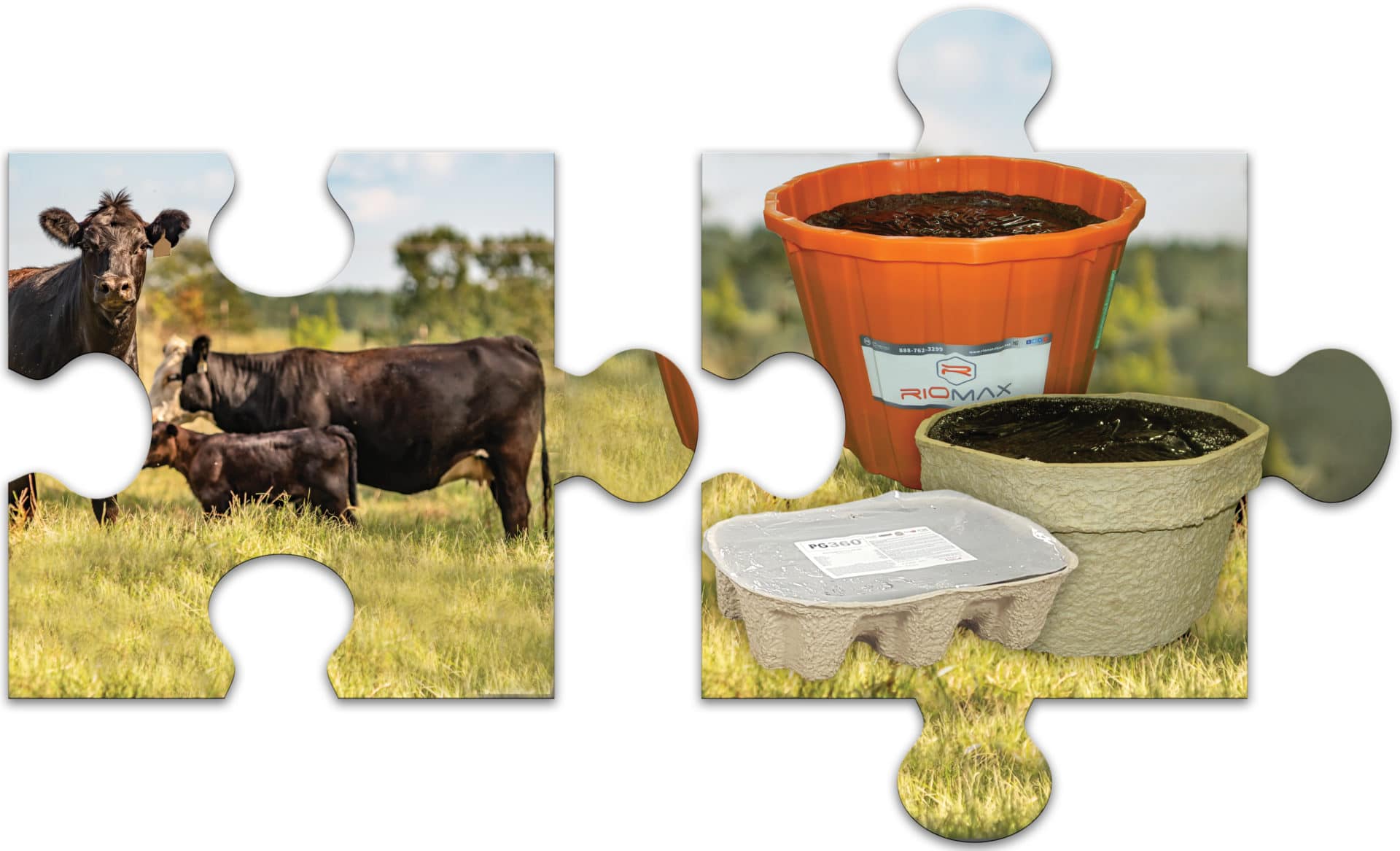 Ranching Challenges? Tips On How To Become More Profitable. - Riomax® 360